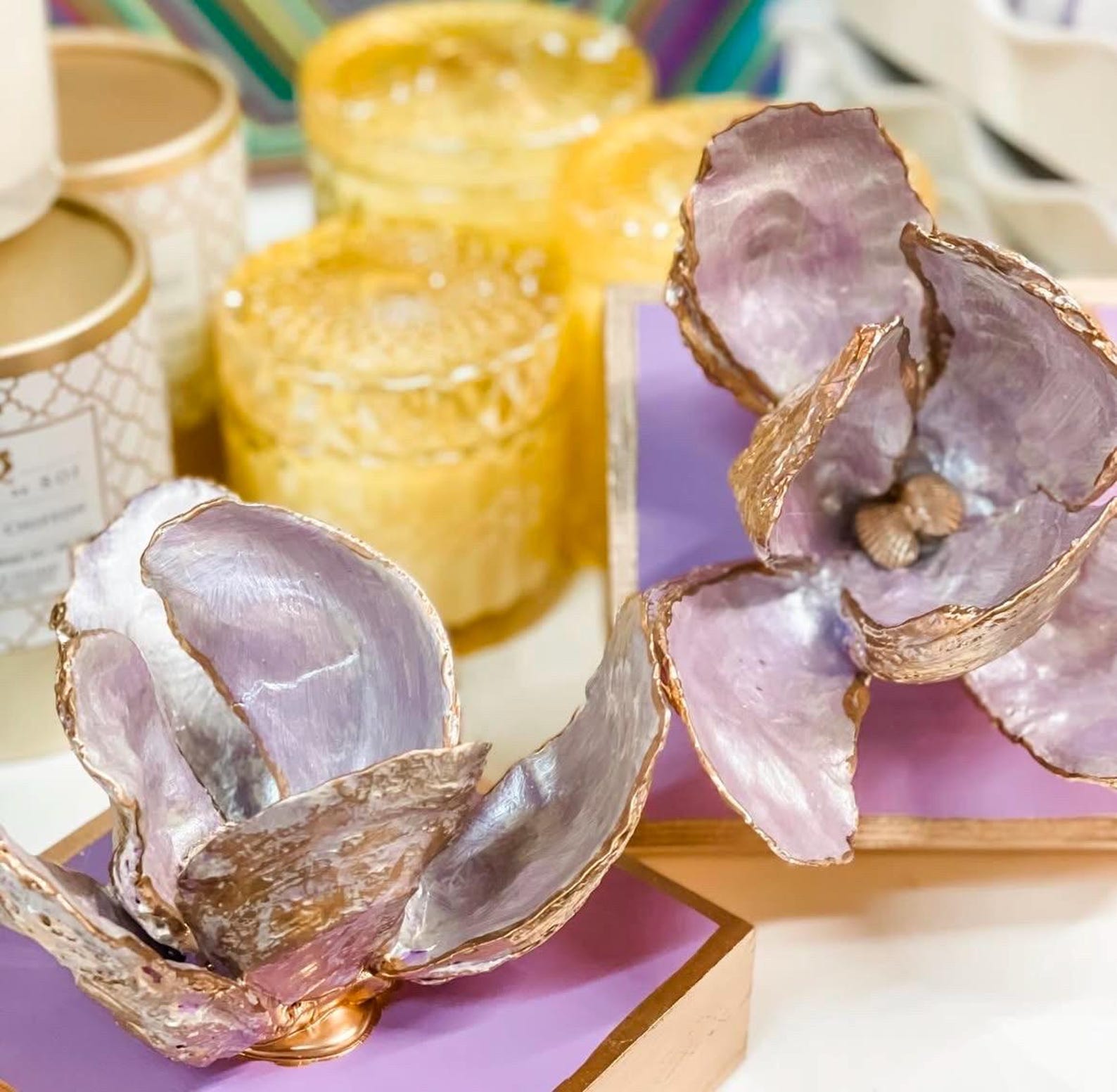 Oyster Shell Iris - Etsy