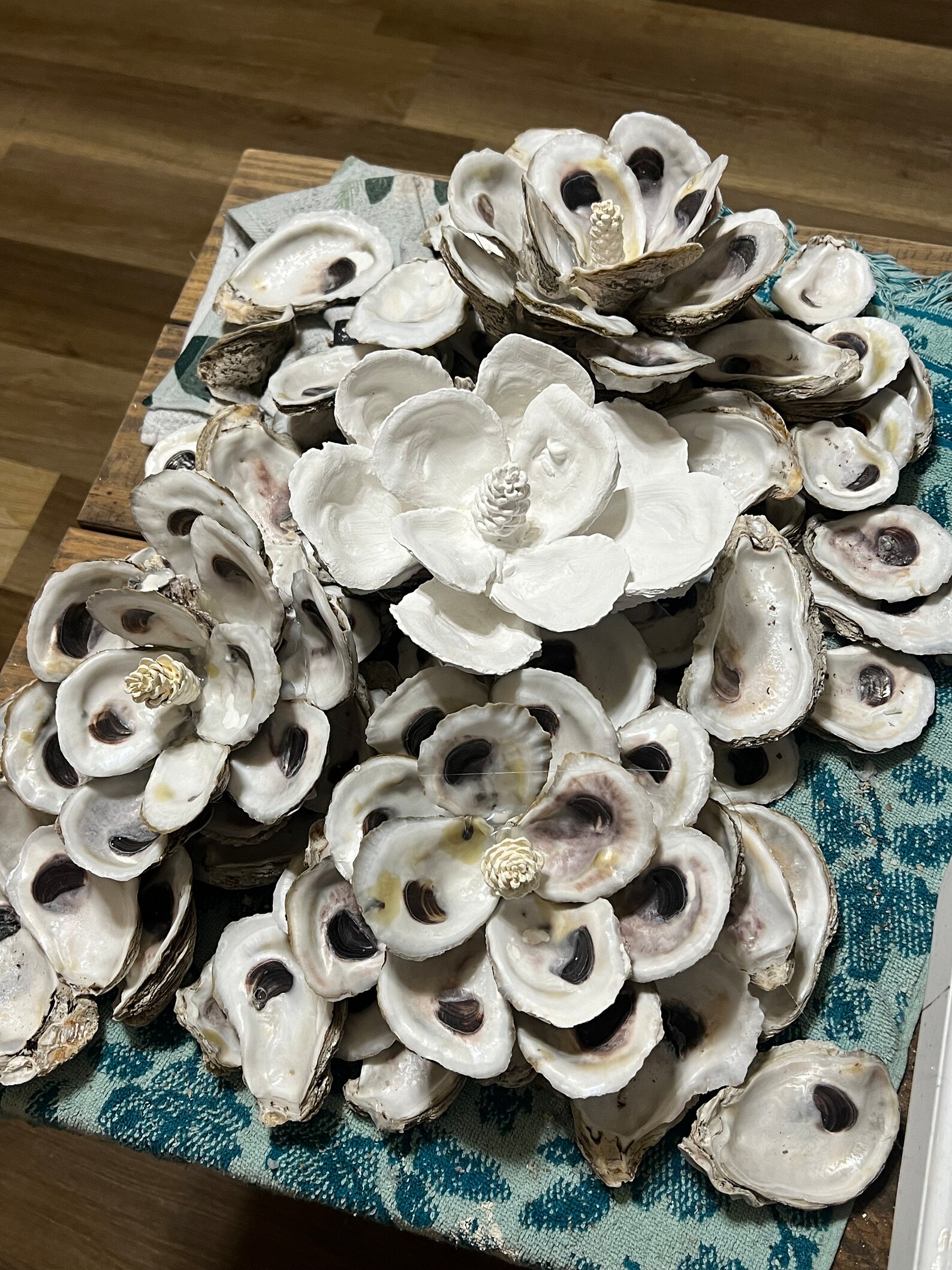 Oyster Shell Magnolia - Etsy