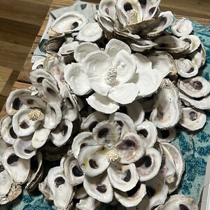 Oyster Shell Magnolia - Etsy