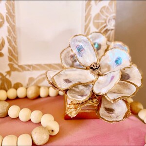 Oyster Shell Magnolia - Etsy