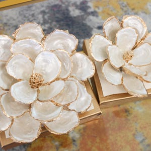 Oyster Shell Magnolia - Etsy