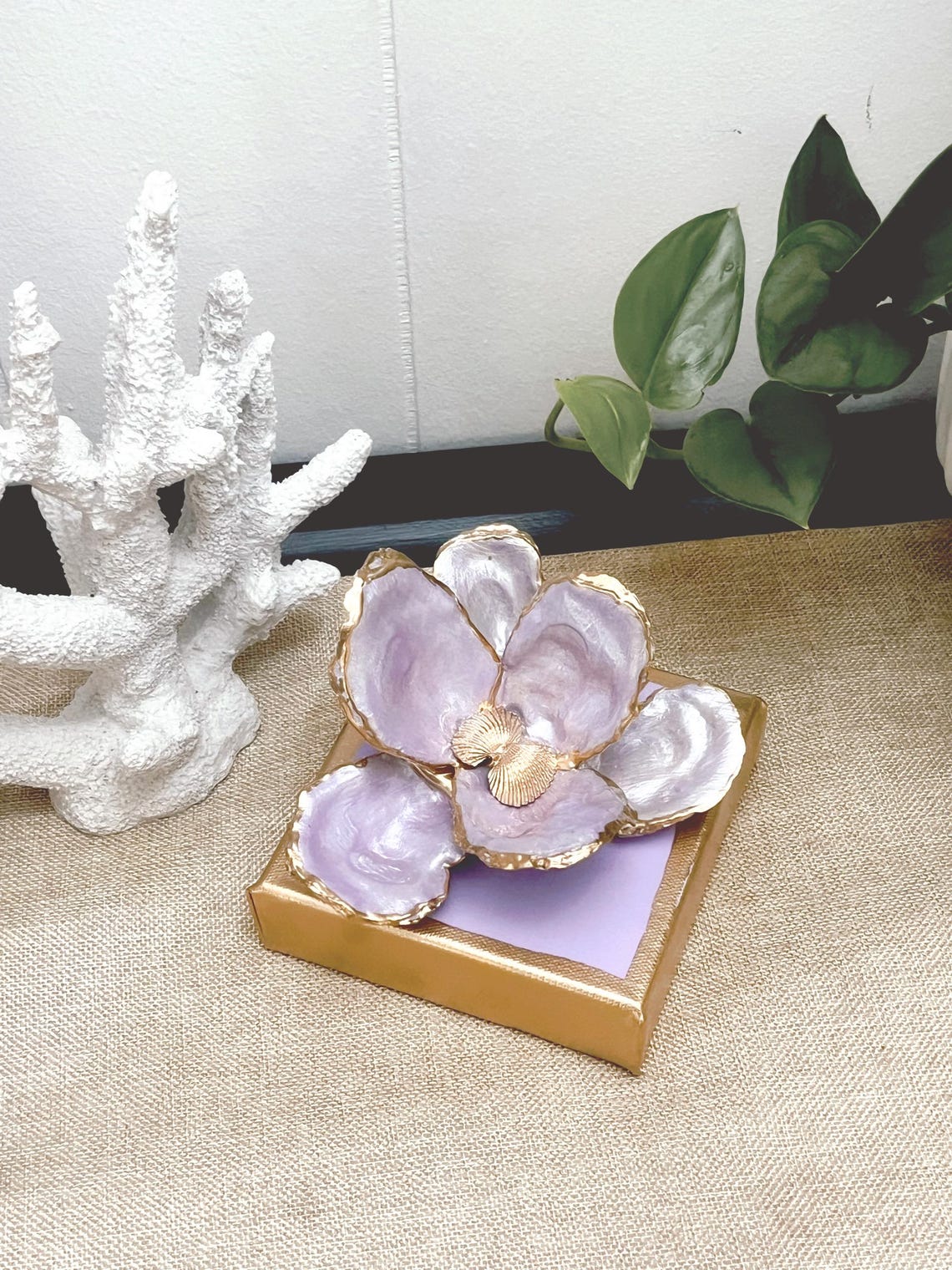 Oyster Shell Iris - Etsy