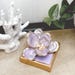 Oyster Shell Iris - Etsy