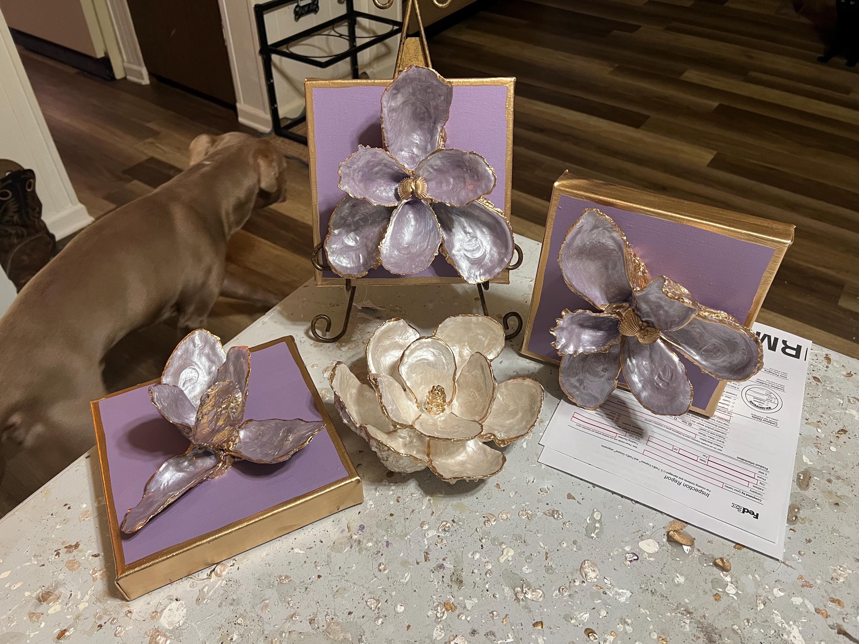 Oyster Shell Iris - Etsy