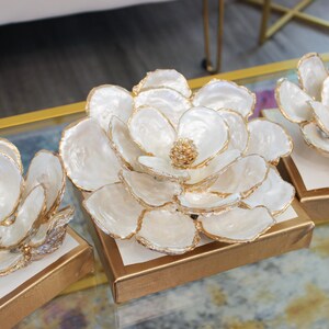 Oyster Shell Magnolia - Etsy