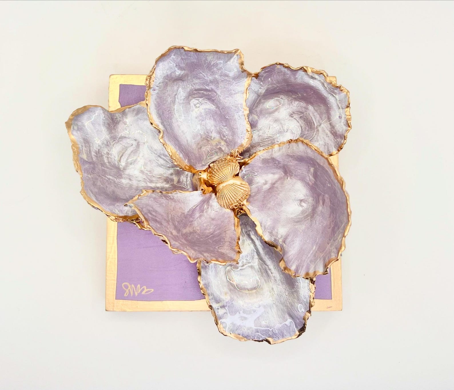 Oyster Shell Iris - Etsy