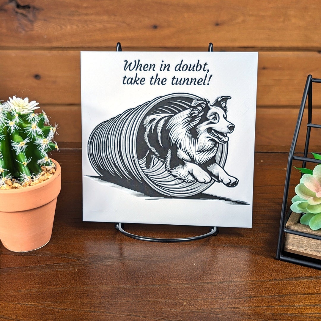 Funny Dog Agility Themed Sign for Wall or Desk, Collie Mom Gift ...