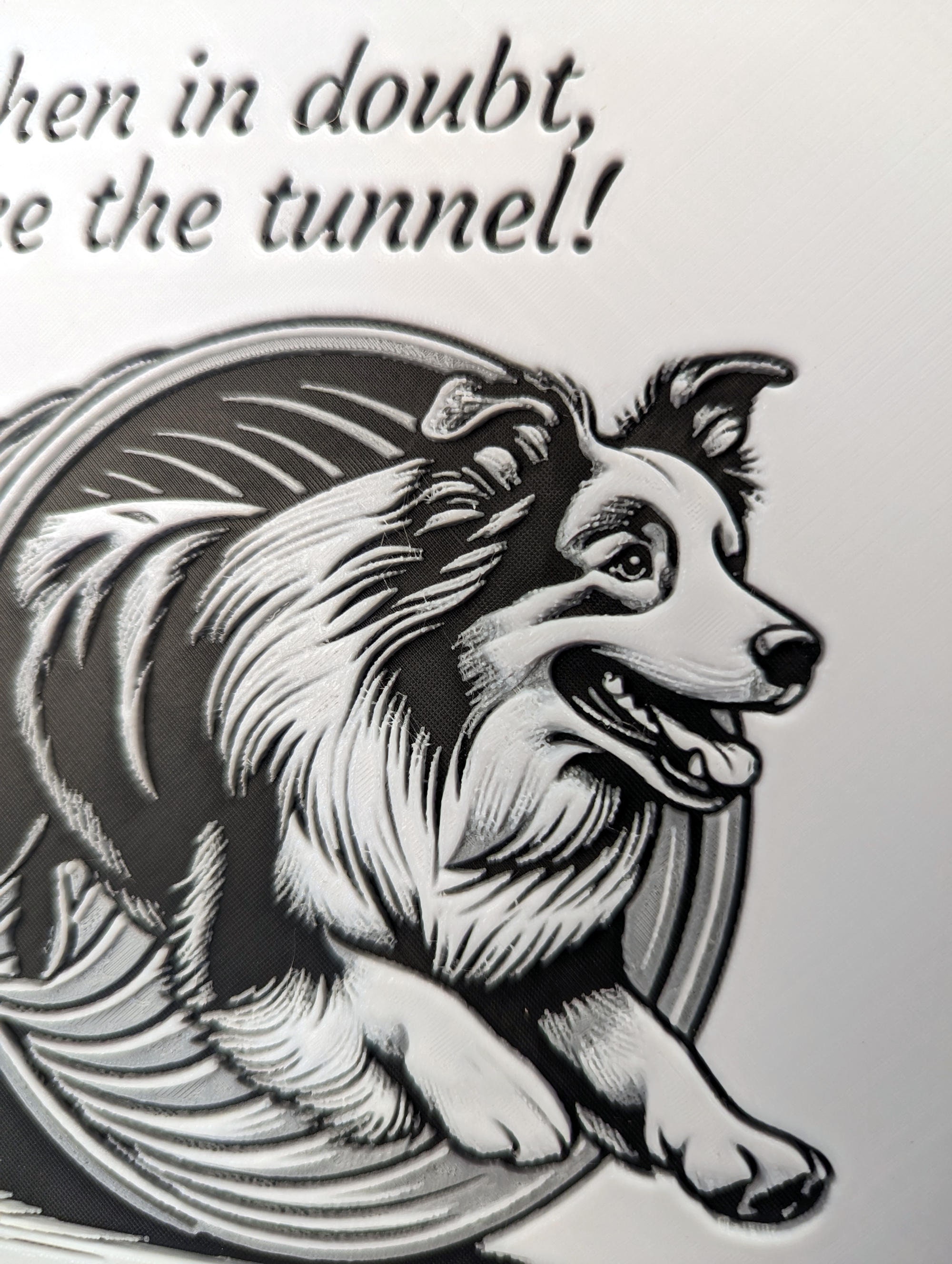 Funny Dog Agility Themed Sign for Wall or Desk, Collie Mom Gift ...