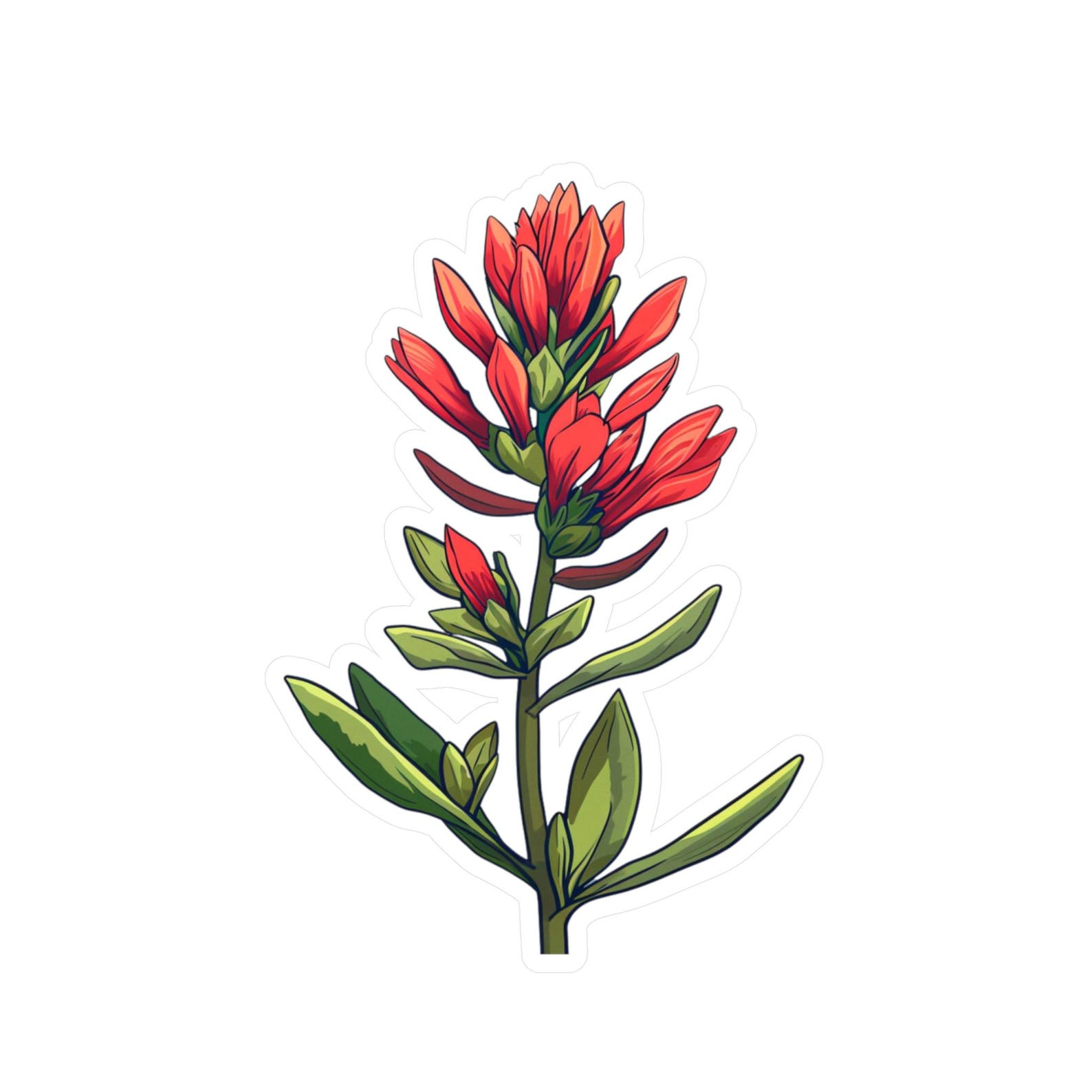 Indian Paintbrush Vinyl Decal Mountain Wildflower - Etsy
