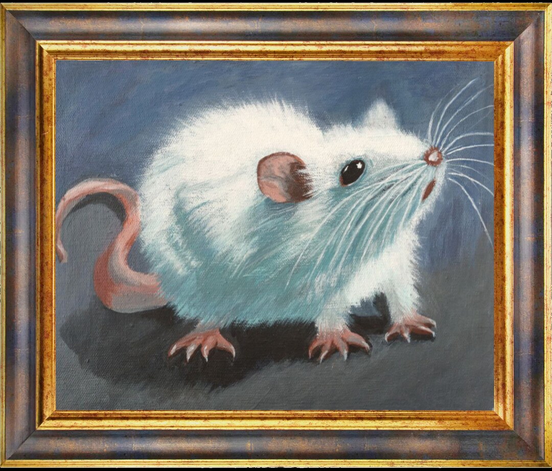 White Rat in Gold Frame - Etsy