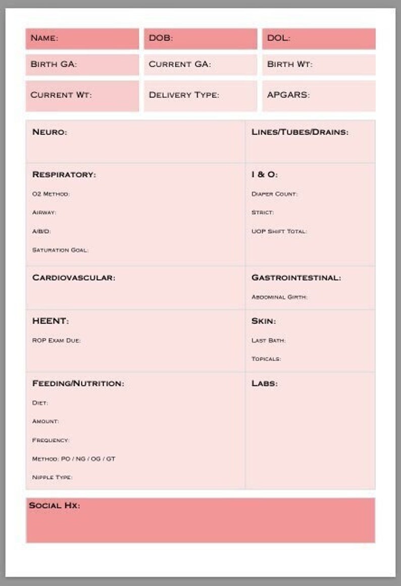Nursing Report Brain Sheet NICU - Etsy