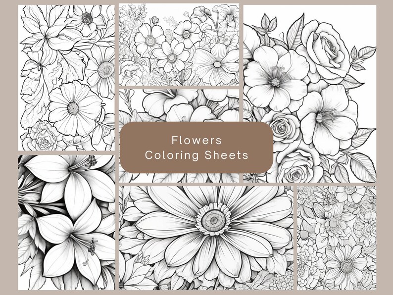 Printable Floral Coloring Sheet, Flower Printable Color Sheet ...