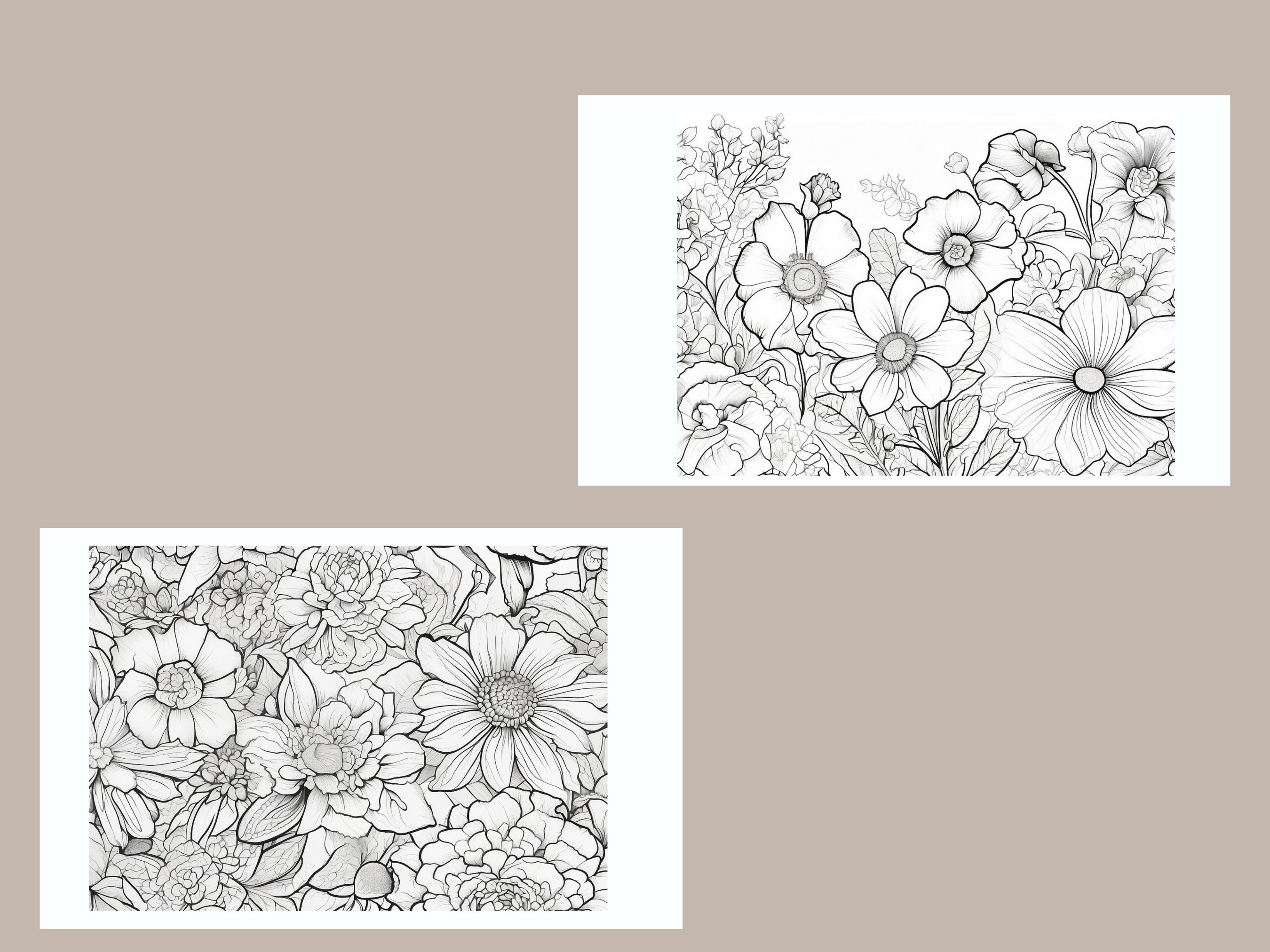 Printable Floral Coloring Sheet, Flower Printable Color Sheet ...