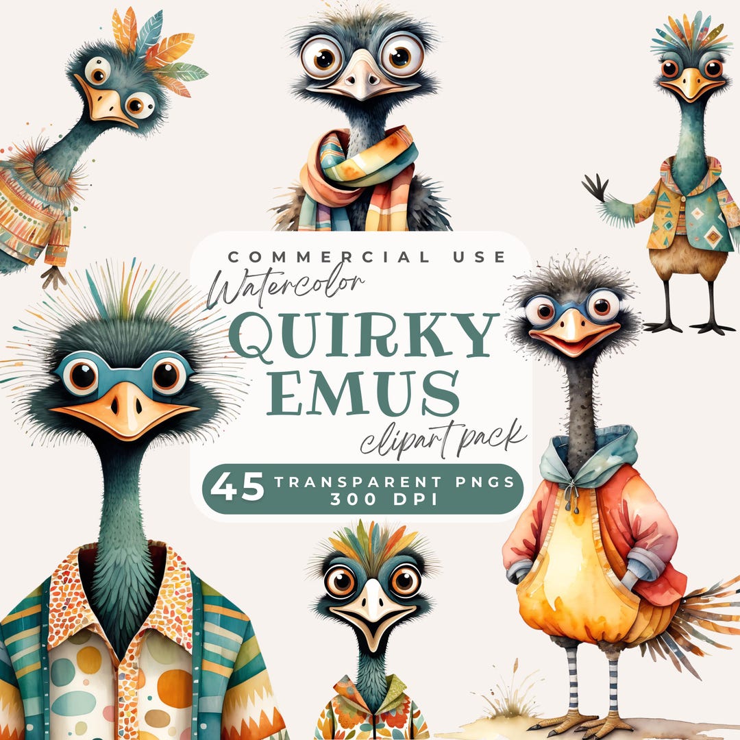 Quirky Emu Clipart, Funny Emu Cartoon PNG, Bird Graphics Downloadable ...