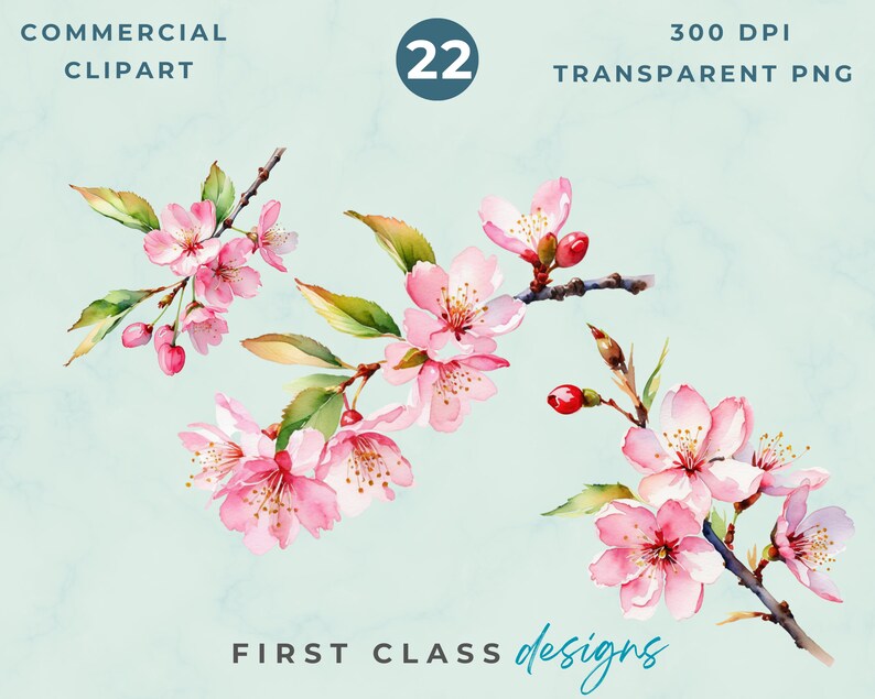 Pink Cherry Blossom Clipart, Cherry Blossom Tree Clipart, Spring ...