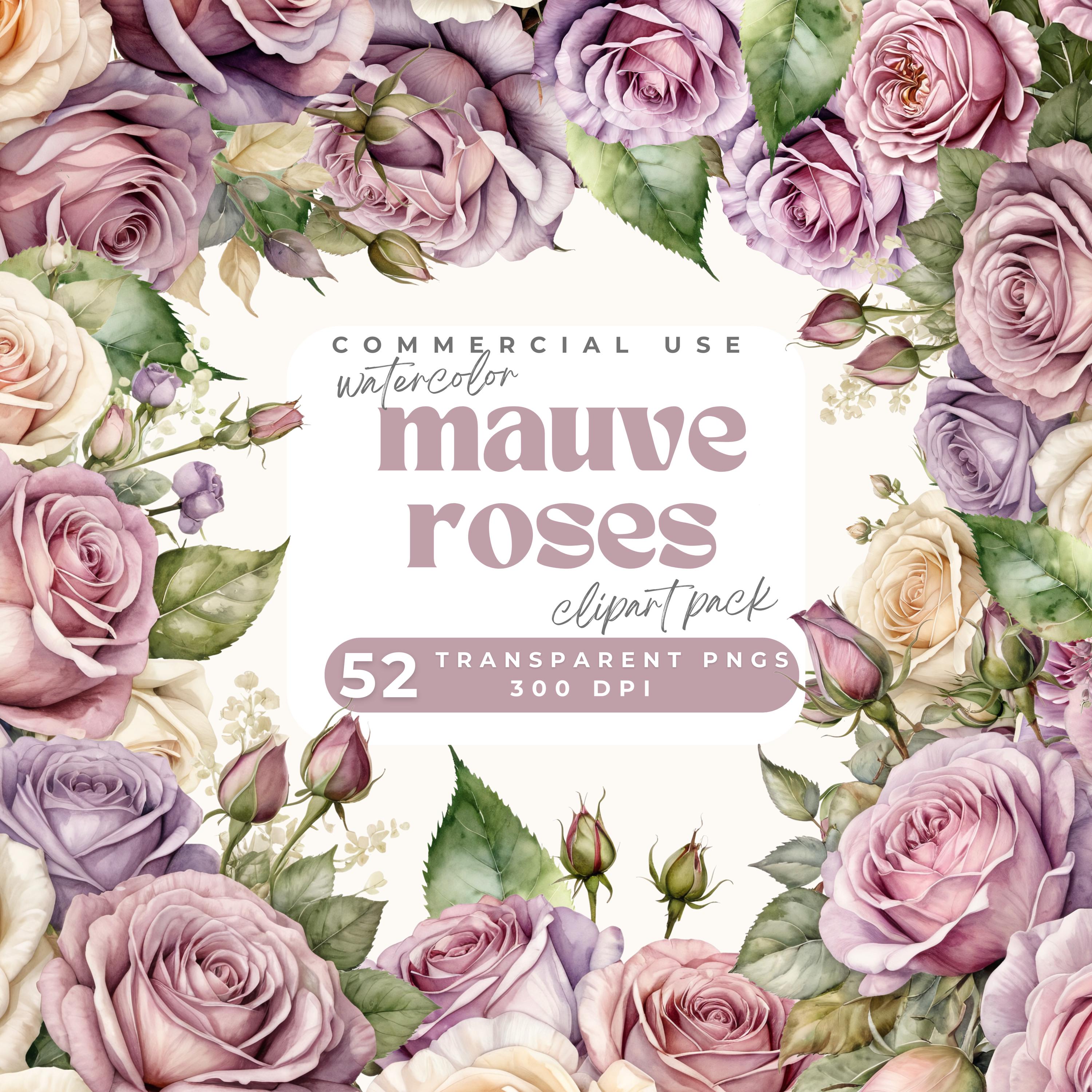Mauve Roses Clipart Purple Mauve Watercolor Flowers Clip Art Floral ...