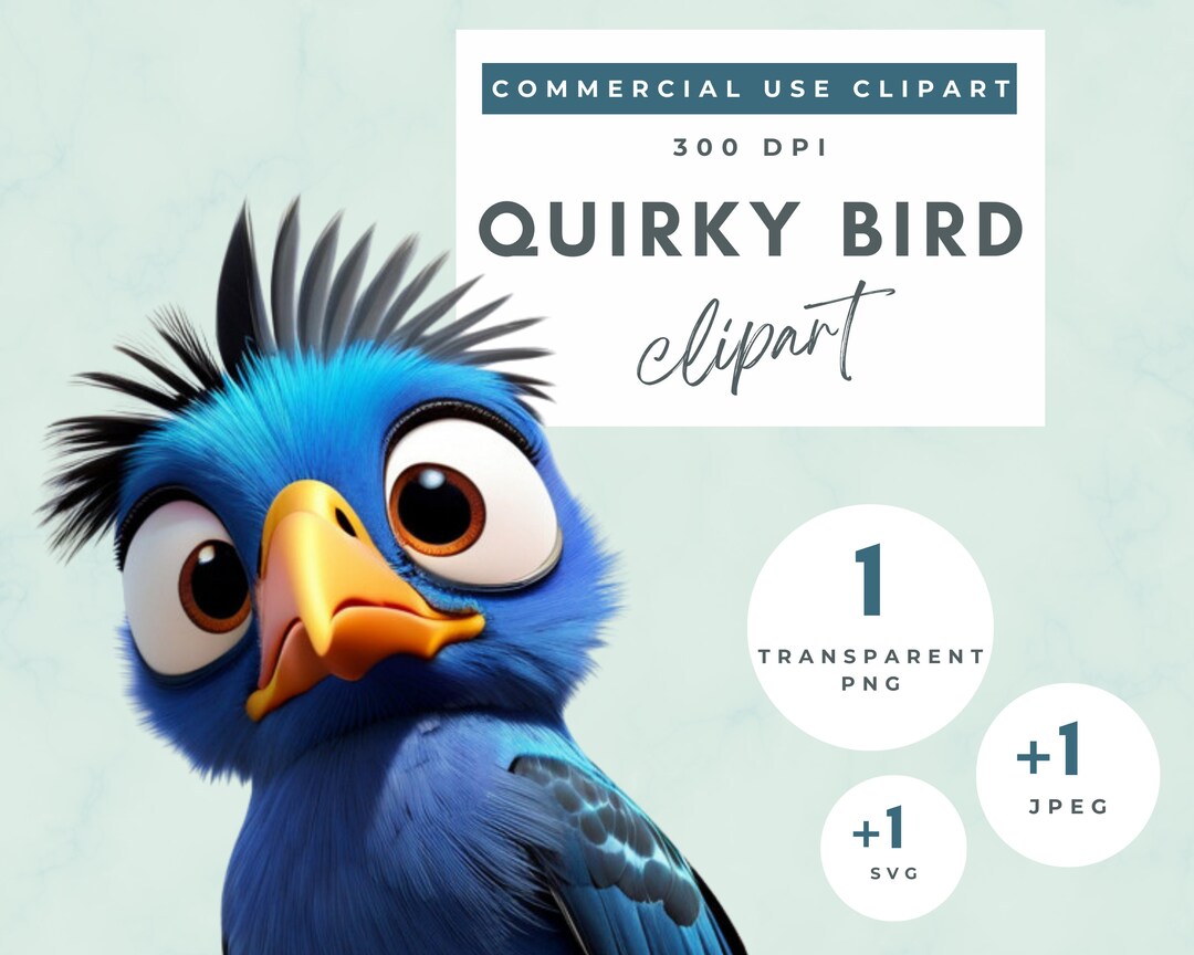 Quirky Bird Clipart PNG, JPG, SVG, Cute Cartoon Bird Character Clipart ...