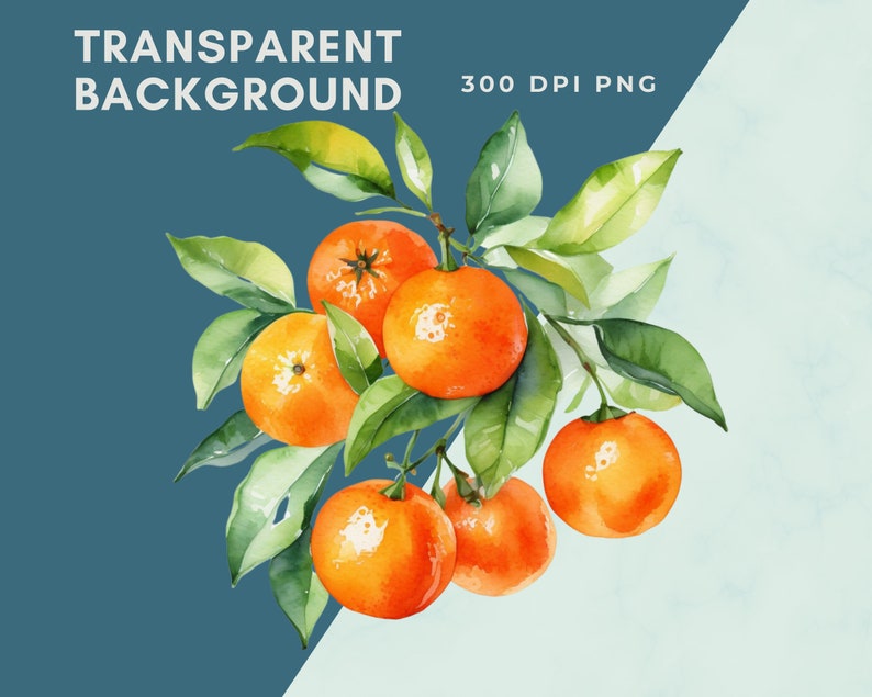 Watercolor Orange Clipart, Watercolor Tangerines Clipart, Citrus Fruits ...