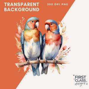 Valentine Love Birds Clipart, Watercolor Love Birds Clipart PNG ...