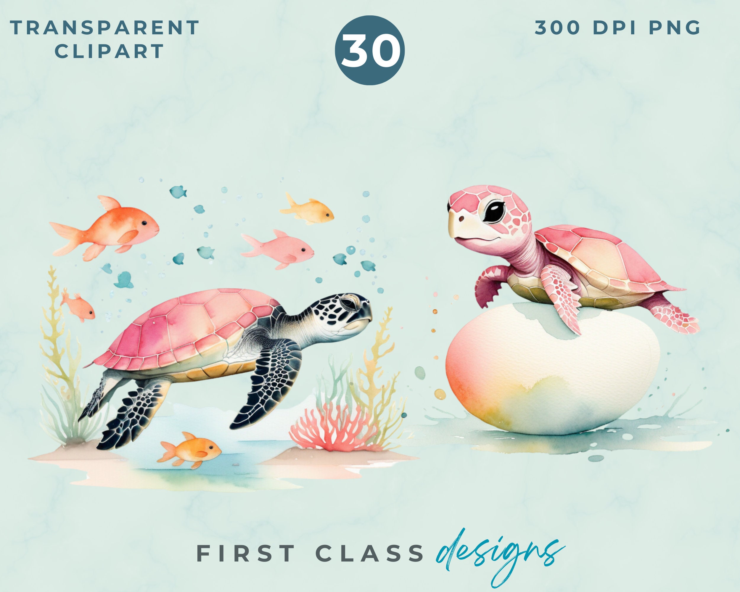 Watercolor Turtle Clipart Pink Watercolor Sea Turtle Clipart Cute Baby ...