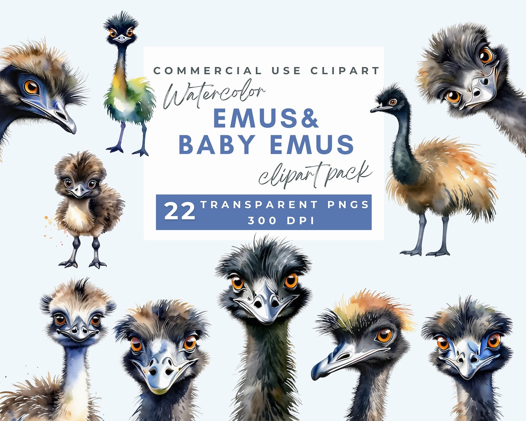 Emu Clipart, Emu Bird Clipart, Watercolor Australia Bird Clip Art ...