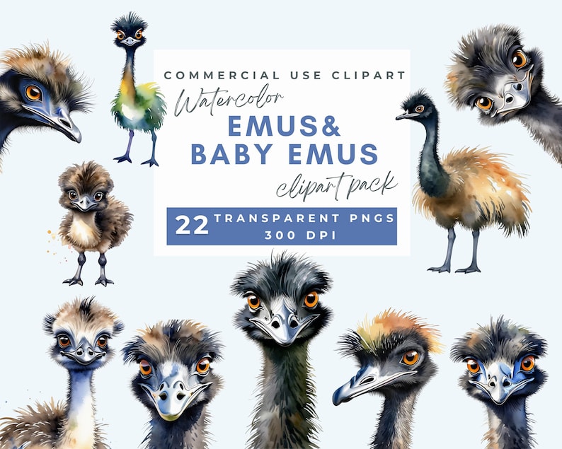 Emu Clipart, Emu Bird Clipart, Watercolor Australia Bird Clip Art ...