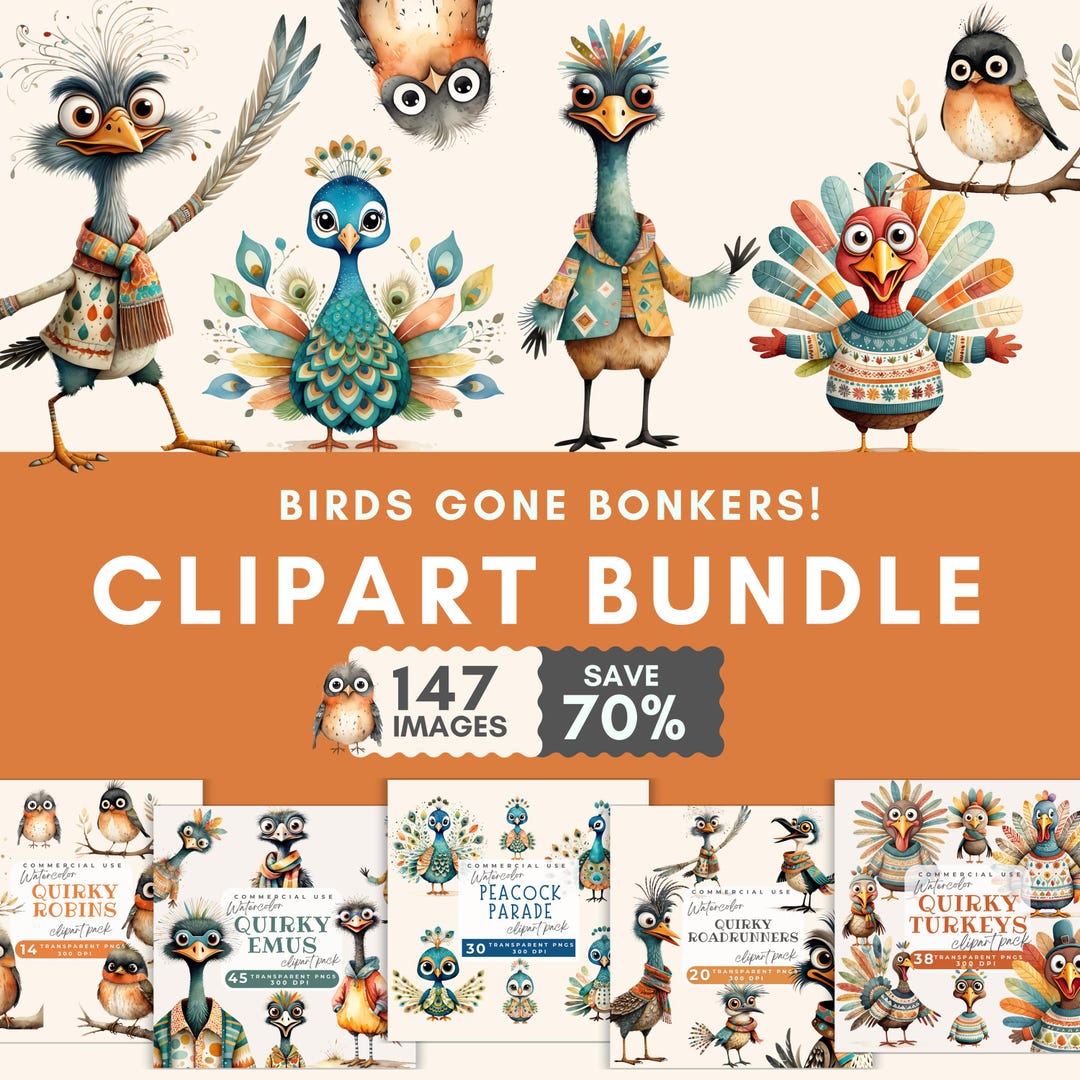 Quirky Bird Clipart Bundle, Super Cute Quirky Bird Clipart, Quirky Bird ...