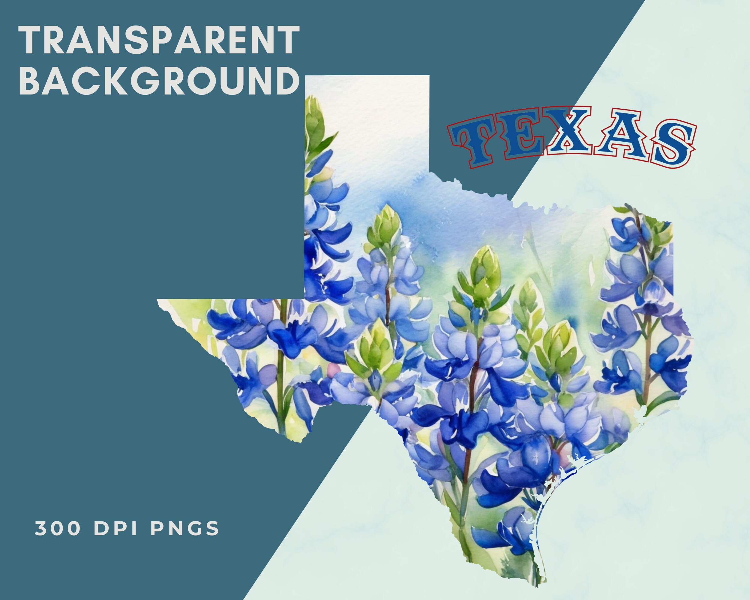 Watercolor Bluebonnet Texas Clipart Texas Map Bluebonnets, Single Image ...