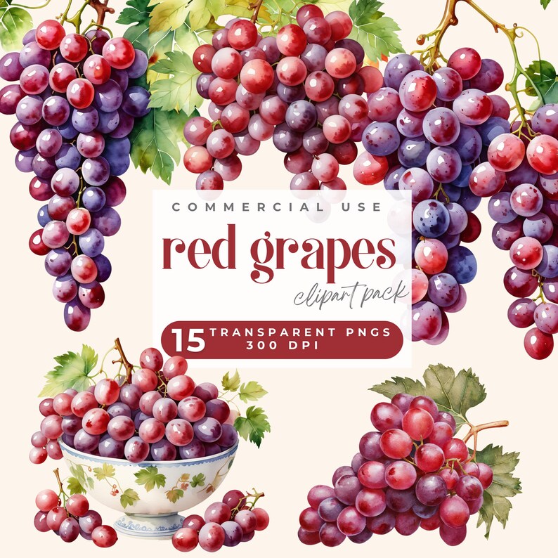 Watercolor Clipart Grape, Red Grapes Illustration PNG, Vintage, Clip ...