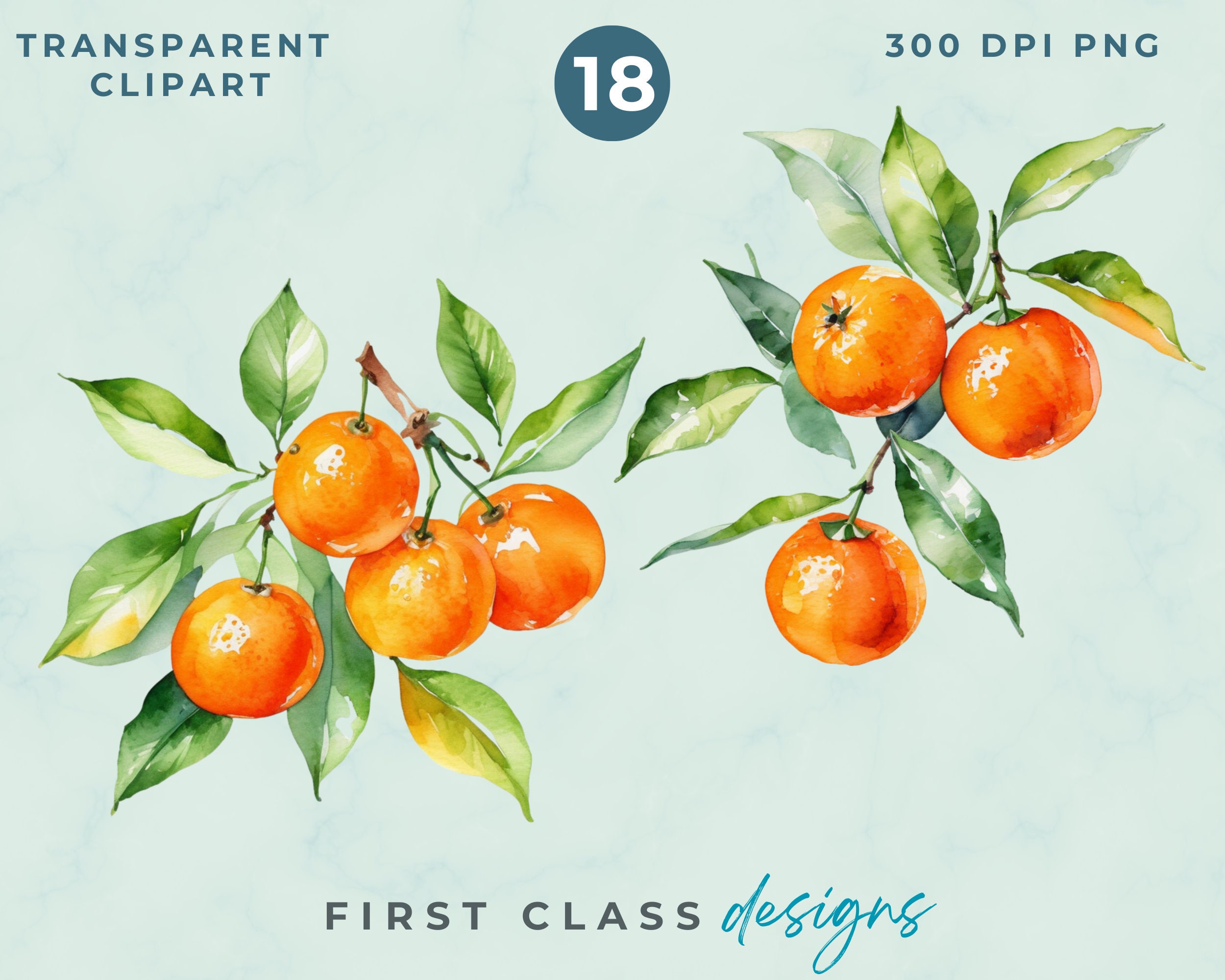 Watercolor Orange Clipart, Watercolor Tangerines Clipart, Citrus Fruits ...
