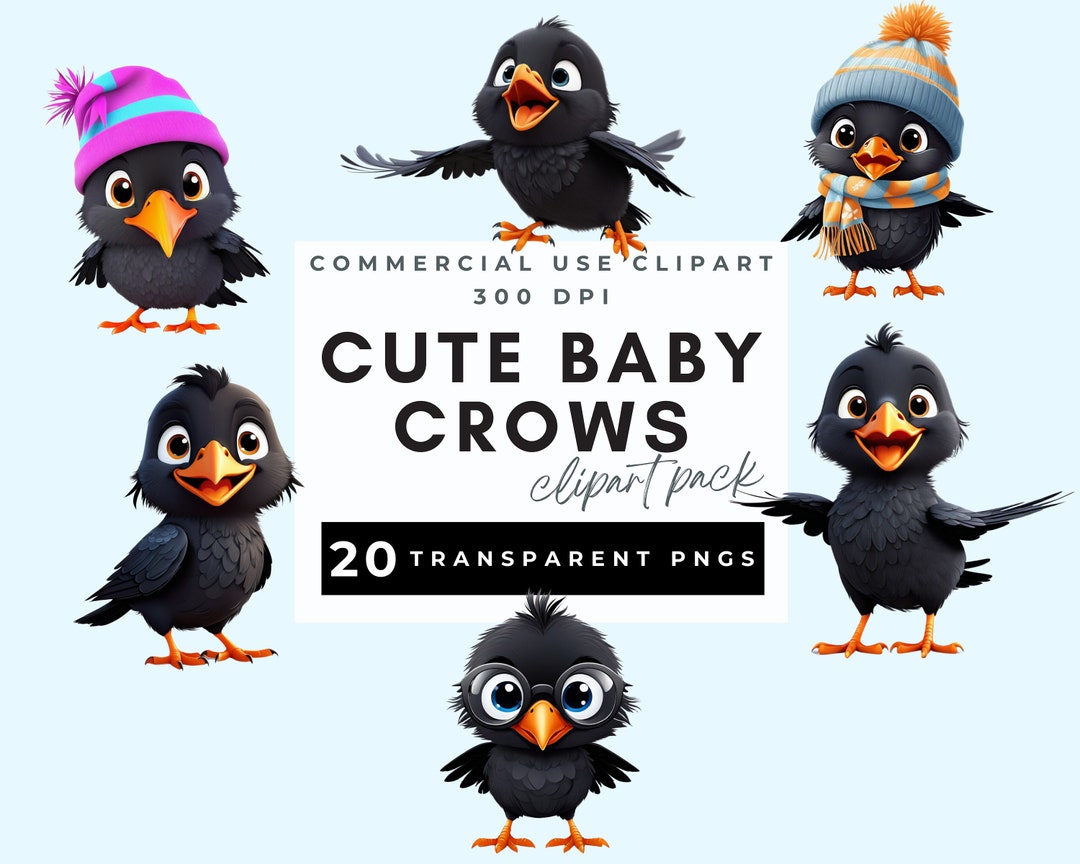 Baby Bird Clipart, Baby Crow Clipart, Funny Bird Png Funny Cute Birds ...
