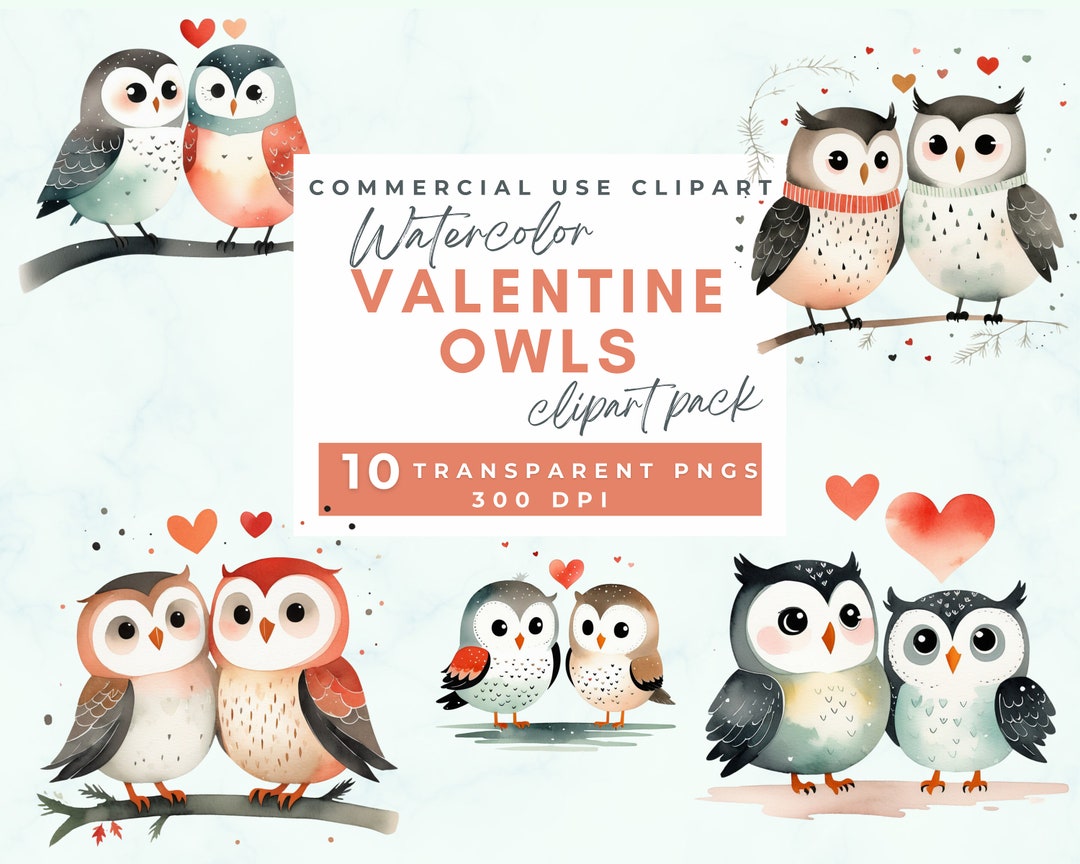 Watercolor Cute Valentine Owl Clipart PNG Watercolor Valentine's Day ...