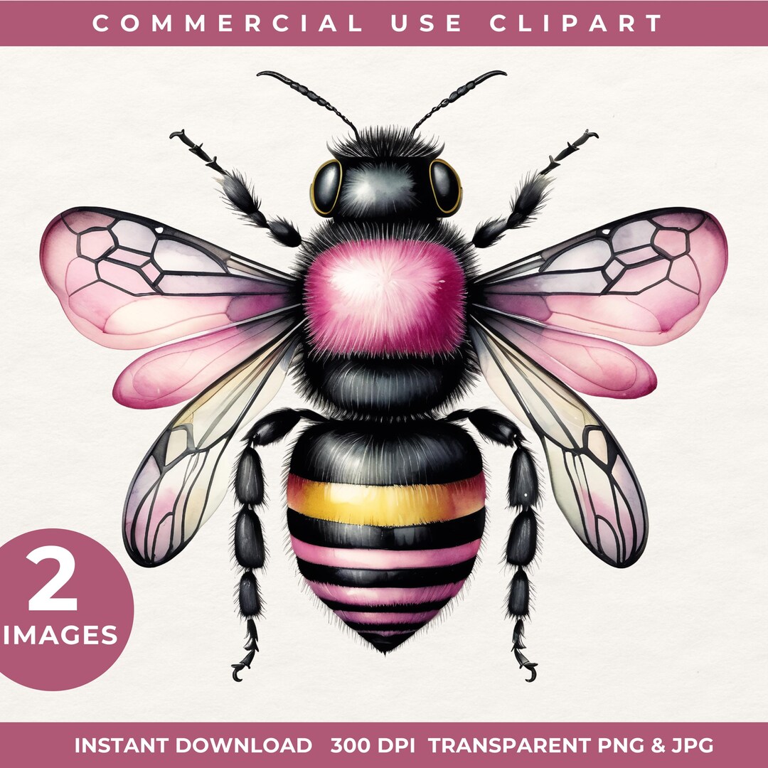 Clipart of Pink Bee, Floral Bee, Watercolor Bee Illustration, Pretty ...