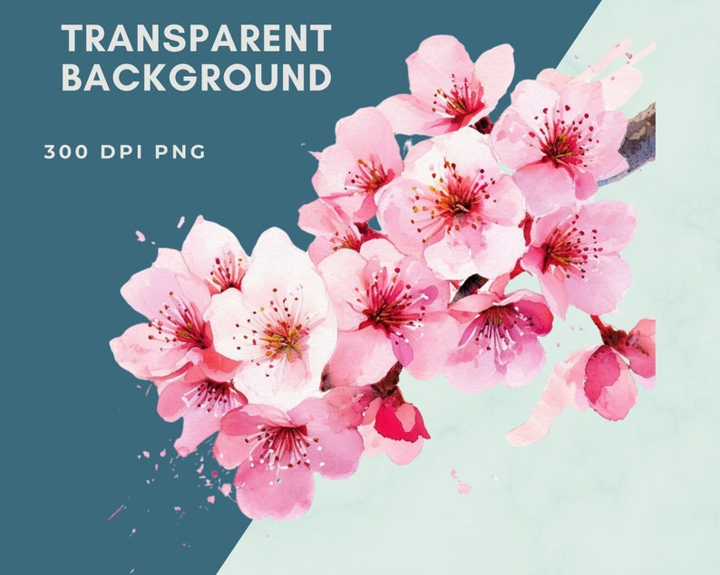 Pink Cherry Blossom Clipart, Cherry Blossom Tree Clipart, Spring ...