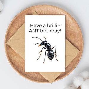 Watercolor Clipart Ants Watercolor Bugs Clipart Watercolor Insects Ants ...