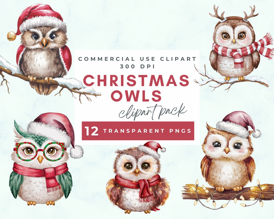 Watercolor Clipart Bundle Christmas Owl, Christmas Clipart, Snow Owl ...