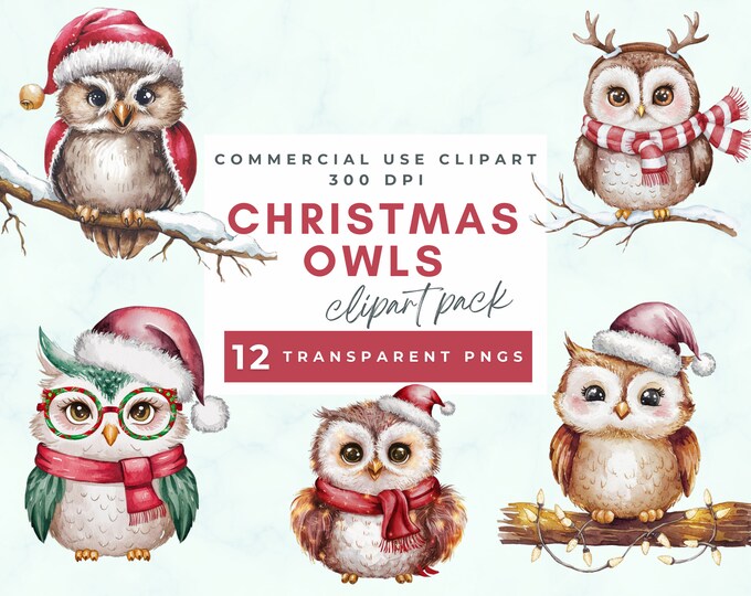 9 Christmas Owl Clipart Set 2, Christmas Card, Printable Watercolor ...