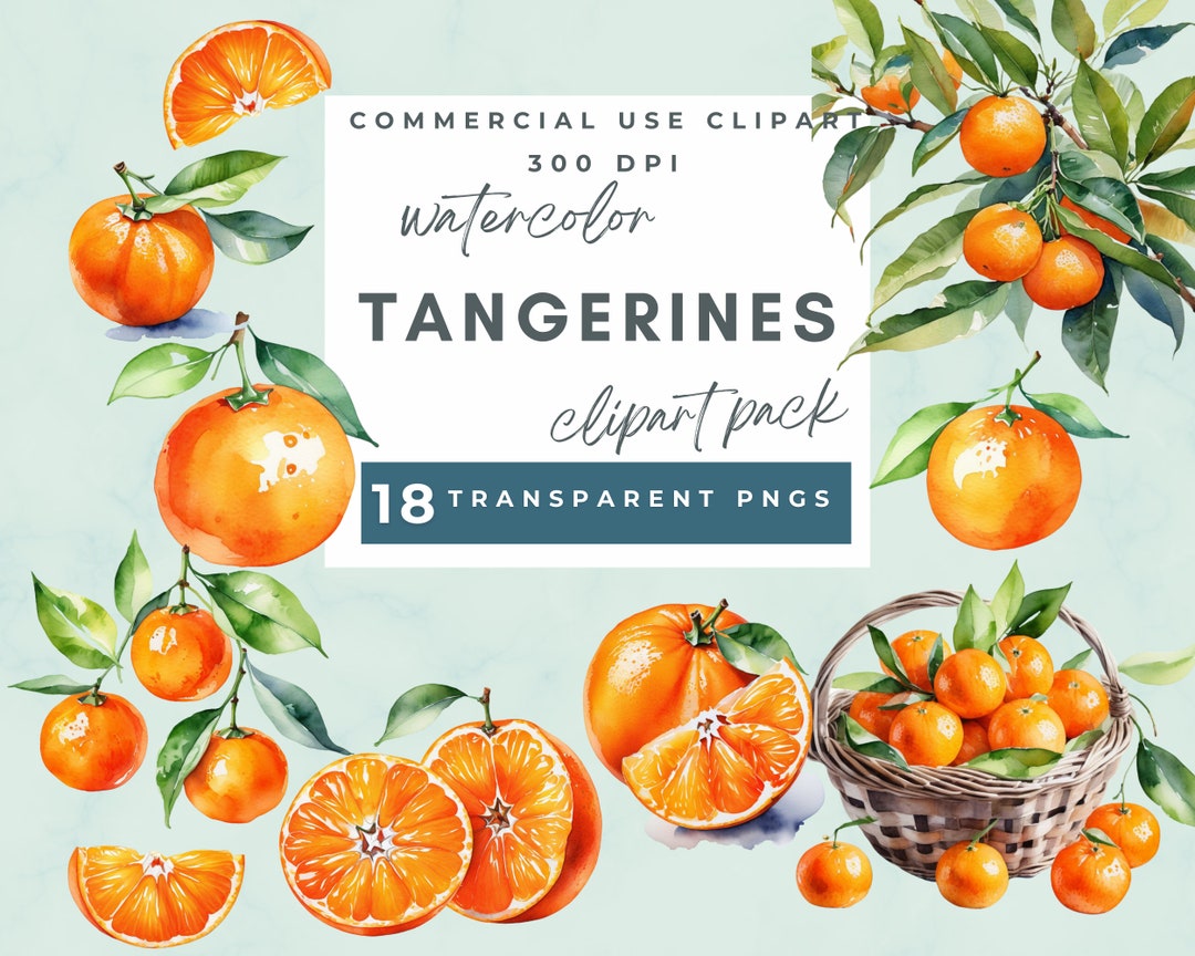 Watercolor Orange Clipart, Watercolor Tangerines Clipart, Citrus Fruits ...