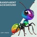 Rainbow Ant Clipart Rainbow Ant PNG Ants Clipart Cute Cartoon Clipart ...