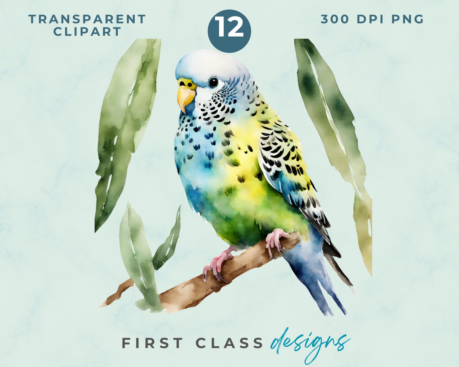 Budgies Clipart, Watercolor Budgerigar, Watercolor Budgie Clipart ...
