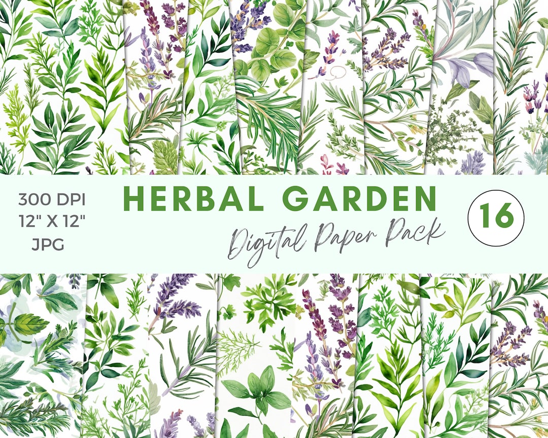 Herbal Watercolor Digital Papers, Botanical Herbs Patterns, Digital ...