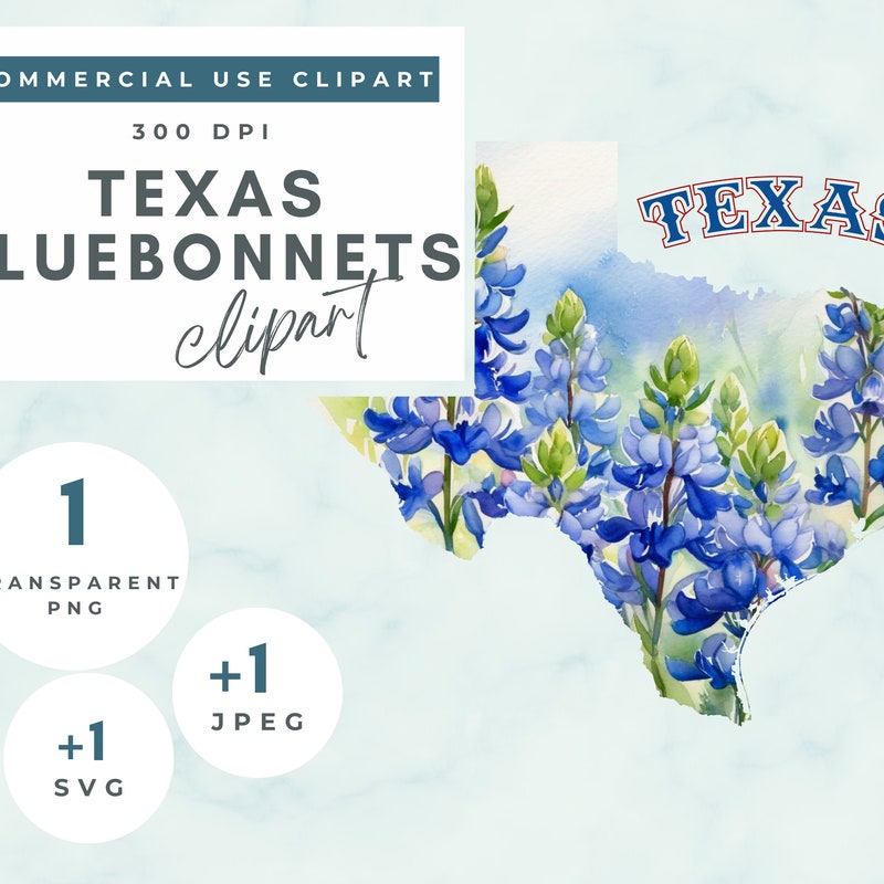 Texas Bluebonnets Svg - Etsy