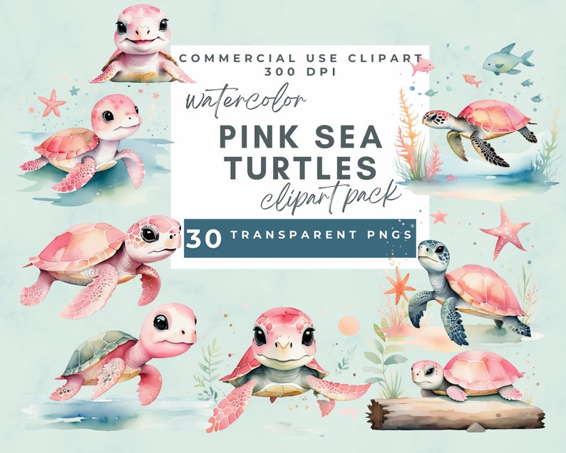 Watercolor Turtle Clipart Pink Watercolor Sea Turtle Clipart Cute Baby ...