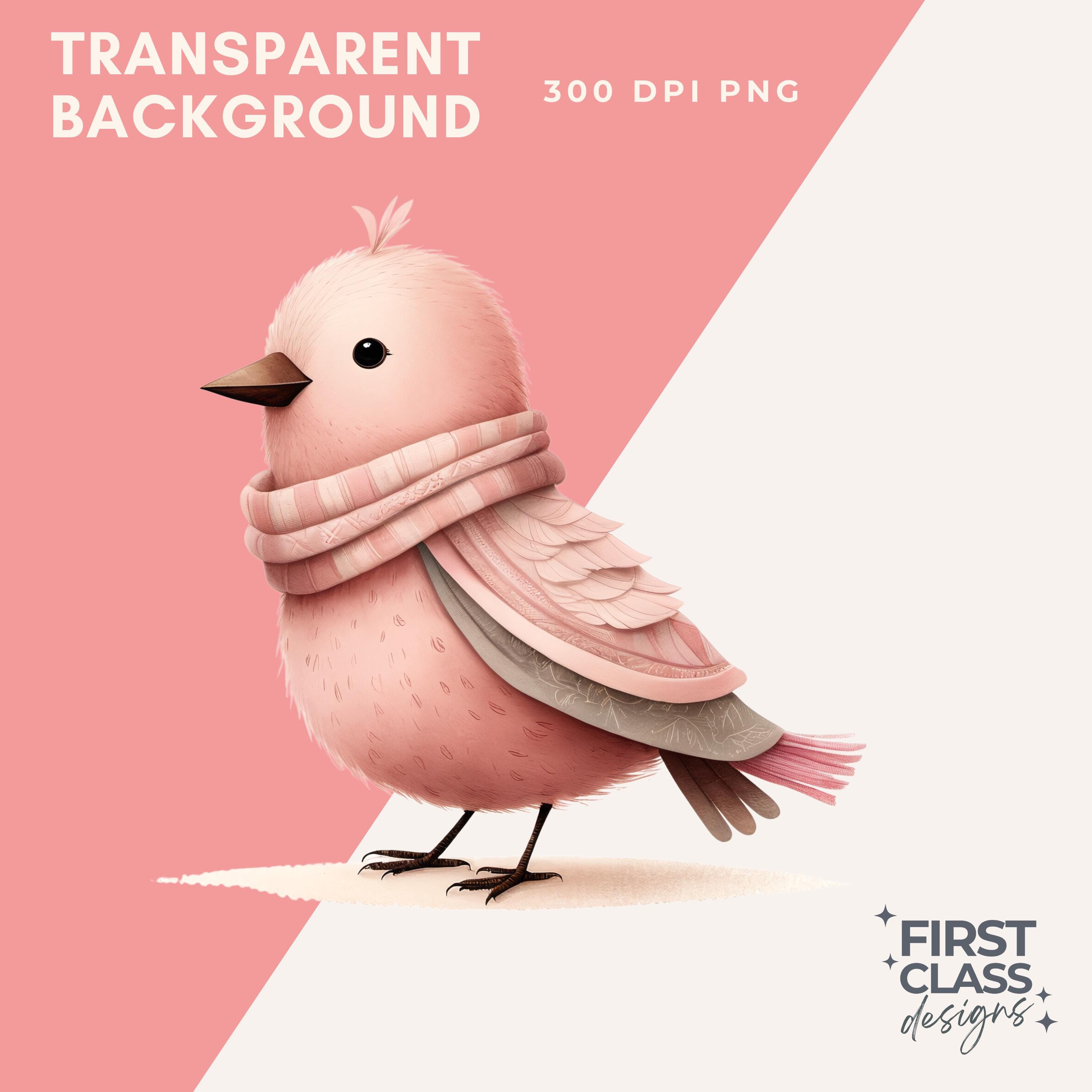 Twinkle Twinkle Cute Pink Bird Clipart, Pink Watercolor Bird Clip Art ...