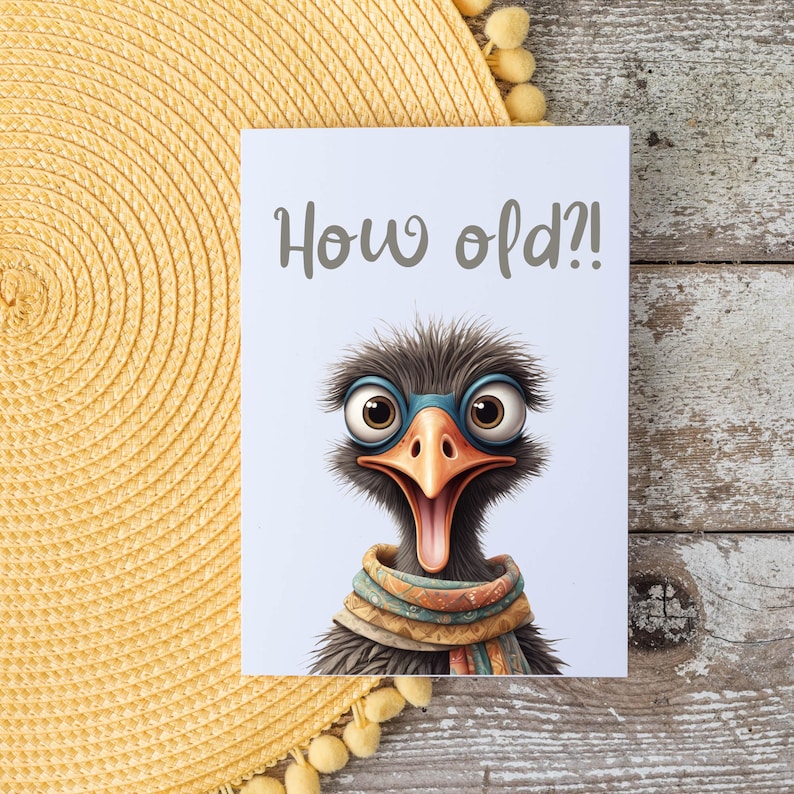 Quirky Emu Clipart, Funny Emu Cartoon PNG, Bird Graphics Downloadable ...
