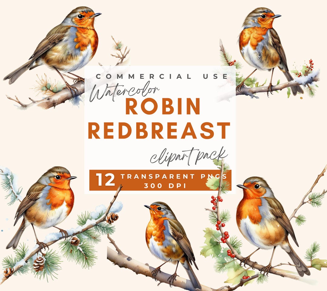 Christmas Robin Clipart Winter Holiday Charm Vibrant Red-breasted ...