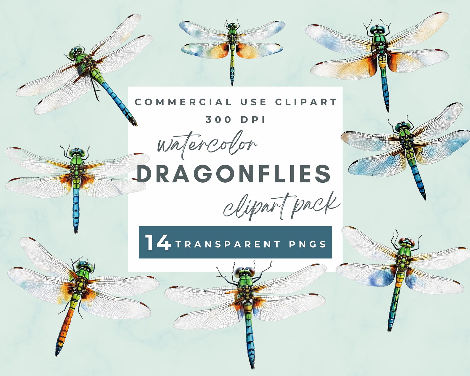 Watercolor Dragonfly Clipart, Dragonflies Clipart, Painted Dragonfly ...