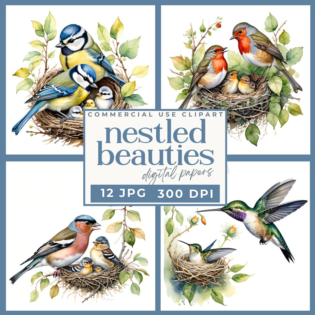 Birds and Nests Clipart, Printable Bird Paper Pack, Scrapbooking Paper ...