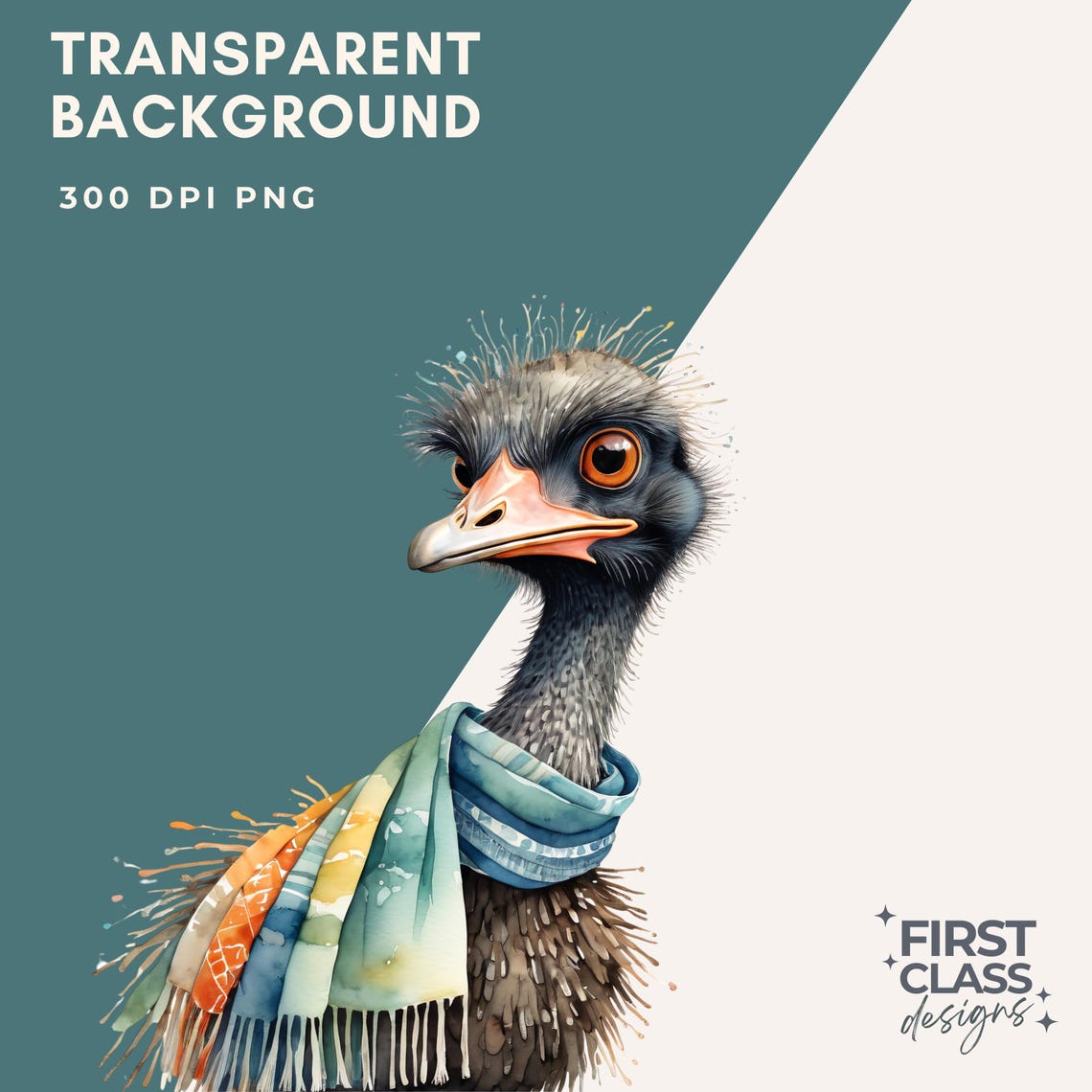 Quirky Emu Clipart, Funny Emu Cartoon PNG, Bird Graphics Downloadable ...