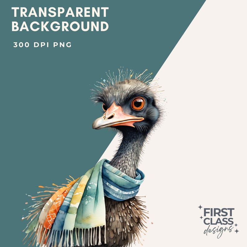 Quirky Emu Clipart, Funny Emu Cartoon PNG, Bird Graphics Downloadable ...